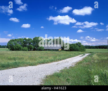 Baltic States, farm scenery, Estonia, Europe, field, grain, growing of ...