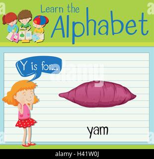 Flashcard letter Y is for yam illustration Stock Vector Image & Art - Alamy