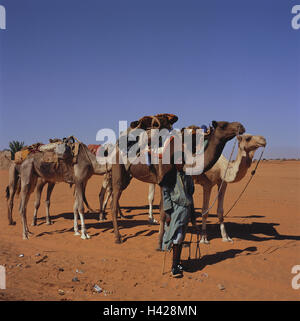 Mauritanian man adrar region Mauritania Stock Photo - Alamy