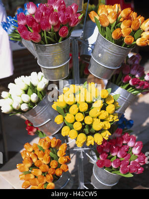 Souvenir wooden tulips, Volendam, The Netherlands Stock Photo - Alamy