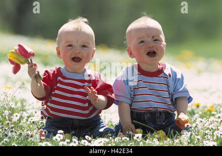 Flower meadow, twins, sit, play tulips, spring, meadow, flowers ...