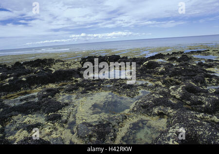 South America, Argentina, Valdez Peninsula. Armadillo Stock Photo - Alamy