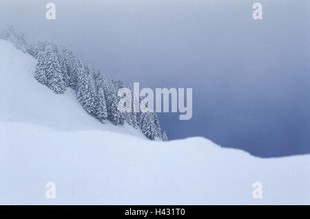 Winter scenery, inclination, coniferous forest, wooden house, snow ...