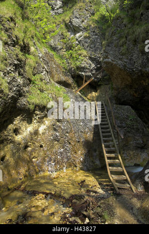 Gorge, Horné diery, Stefanova, national park 'Mala Fatra', province ...