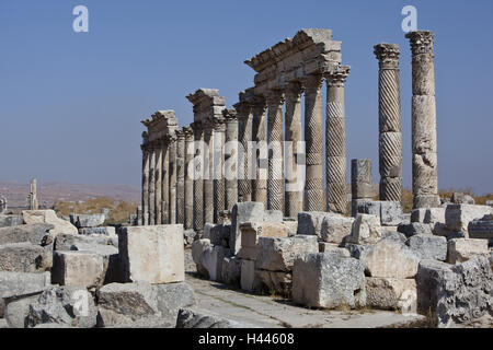 Syria, Apameia, Säulenstrasse Orontes valley, place of interest ...