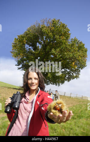 Italy Chestnuts tree Stock Photo - Alamy