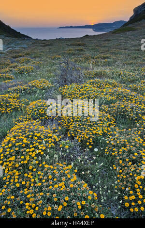 Coastal landscape of Corsica island on a sunny summer day, Cupabia ...