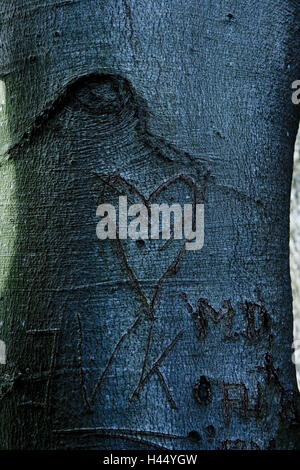 heart shape with initials carved into tree Stock Photo - Alamy