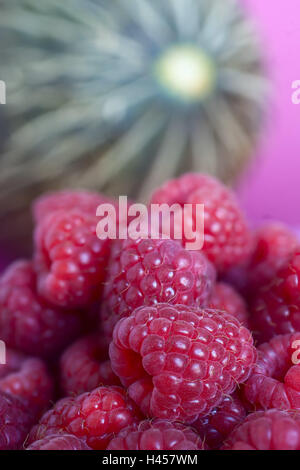 Melon and Raspberries Stock Photo - Alamy