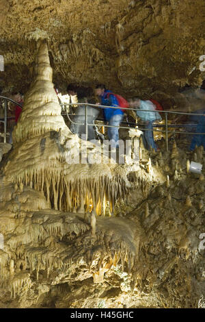 Germany, Bavaria, Pottenstein, devil's pit, cave bear, Ursus spelaeus ...