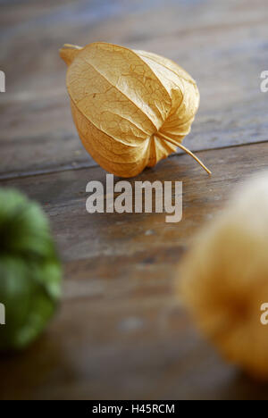 Physalis, lampion flowers, detail, blur Stock Photo - Alamy