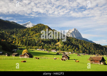 Germany, Bavaria, Garmisch-Partenkirchen, agrarian meadows, Zugspitze ...