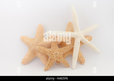 tropical starfish in grey background Stock Photo - Alamy