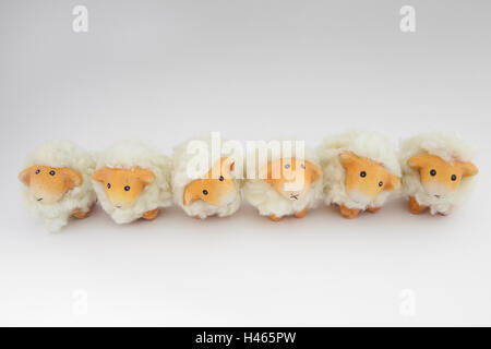 Cute sheep playing together Stock Photo - Alamy
