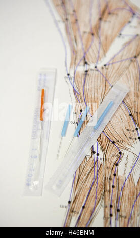 Animal acupuncture, surgery, veterinary practice, veterinarian, animal ...