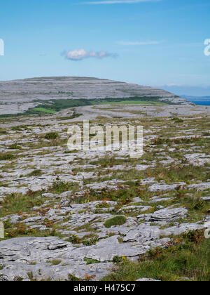 Rocky karst landscape of the Burren national park in County Clare ...