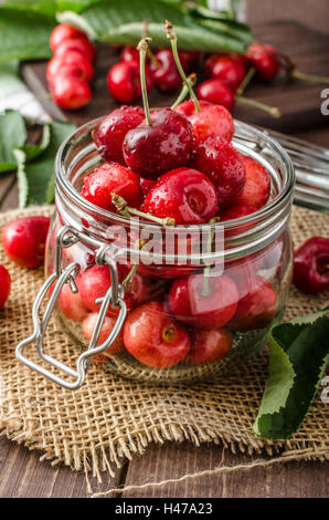 Freshly picked cherries, natural cultivation, bio quality Stock Photo ...