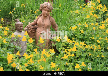 Yellow bateleur eagle flower, Mimulus guttatus, blossoms, yellow ...