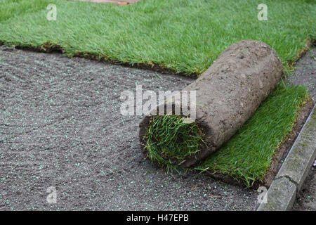 Invest of a rolling turf in the garden Stock Photo - Alamy