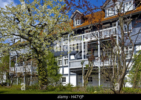 Germany, Hessen, Northern Hessen, Schwalmstadt-Treysa, town hall ...