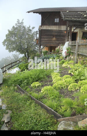 South Tyrolean farm, outside, barn, balcony, wooden house, house, Italy ...