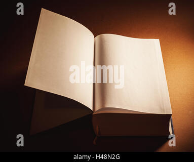 One thick book opened on brown background. Looks like dictionary or an ...
