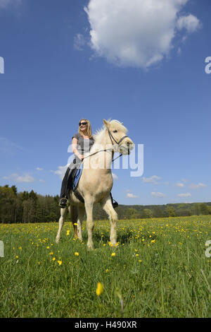 white riding horse released Stock Photo - Alamy