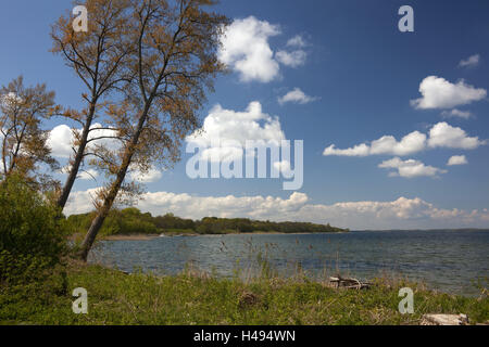 Lake Selenter See Schleswig Holstein Germany Stock Photo - Alamy