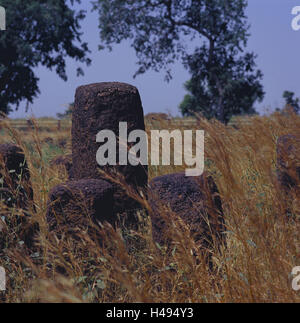 Senegal, Kaolack, Sine Ngayene, stone circles, megalithic, children ...