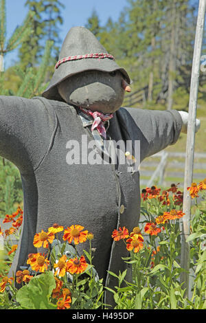 Garden, flowers, blossom, spread scarecrow, flower-garden, figure ...