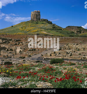 View of Tharros Stock Photo - Alamy