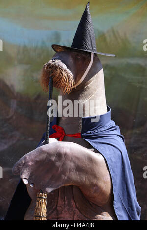 Yokohama, Japan. 15th Oct, 2016. A female walrus Pico poses as a ...