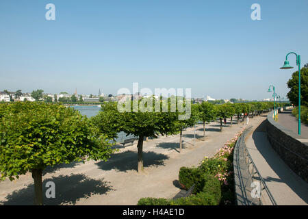 Rhine shore in Bonn Stock Photo - Alamy