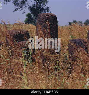 Senegal, Kaolack, Sine Ngayene, stone circles, megalithically, Africa ...