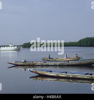 Senegal, Sine Saloum delta, Toubacouta, river Saloum, mangroves ...