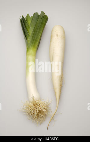leek (Allium porrum), vegetable Stock Photo - Alamy