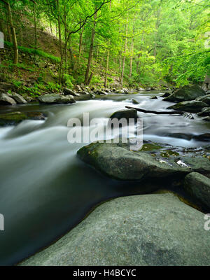 The River Bode with rapids and boulders in the Bode Valley between ...