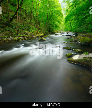 The River Bode with rapids and boulders in the Bode Valley between ...