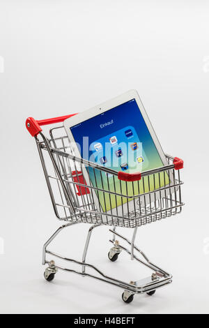 Shopping cart, Apple iPad air 2, website, eBay, banknotes, different ...