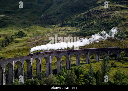 Train, 'Hogwarts Express' on the Glenfinnan viaduct Stock Photo - Alamy