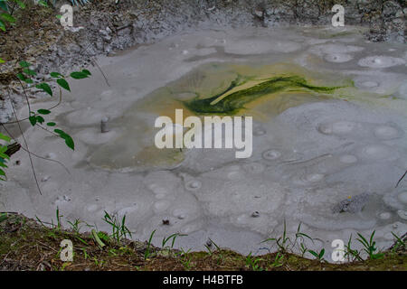 Algae in the Hotspot of a volcano Stock Photo - Alamy
