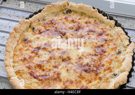 Homemade leek quiche with a baked cheese crust in a glass dish, cooling ...