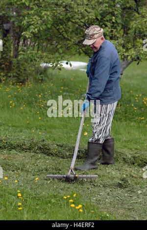 Male gardener collects cut grass with orange plastic rake after a mower ...