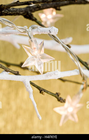 Christmas tree branch with golden lights with sunlight Stock Photo - Alamy