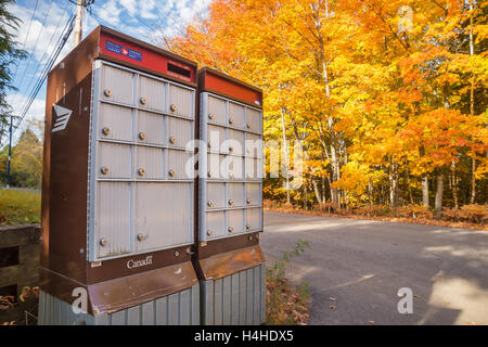Rural Canada Post Mailboxes In Laurentides, QC, CANADA, in Autumn Stock ...