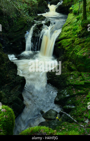 Afon Cynfal flowing through the Ceunant Cynfal National Nature Reserve ...