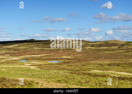 Migneint, a Welsh upland habitat area in North Wales, a special area of ...