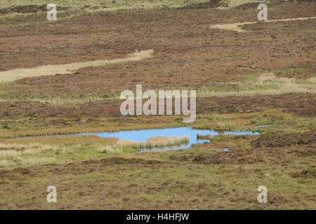 Migneint, a Welsh upland habitat area in North Wales, a special area of ...