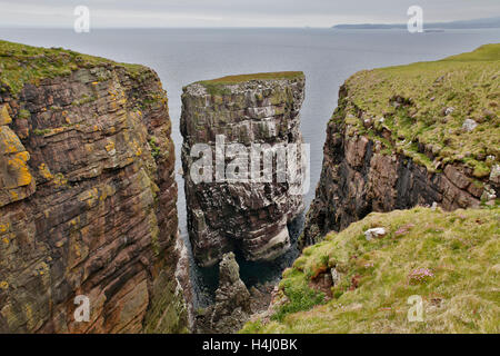 Sea Stack Handa Island, Sutherland, Scotland Stock Photo - Alamy