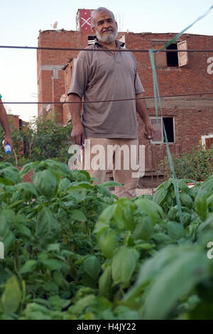 Cairo, Egypt. 12th Oct, 2016. The son of caretaker Mohamed Taha plants spinach on the roof of a ...